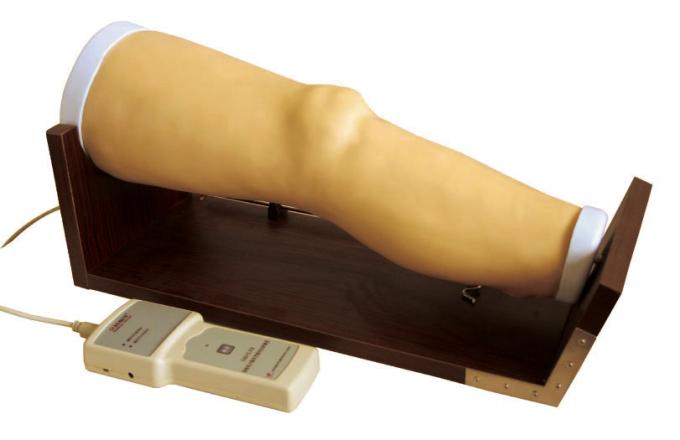 Electronic Knee joint intracavitary injection simulator , medical models