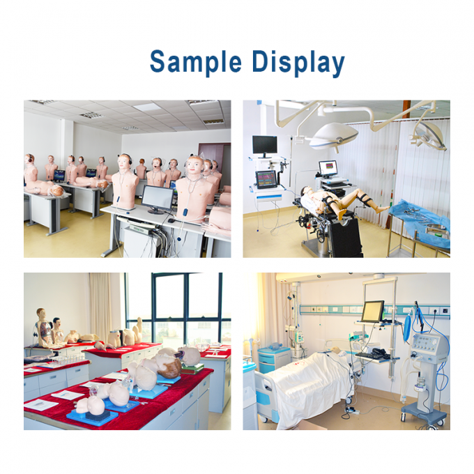 PVC Clinical Simulation Femoral Artery Puncture Model With Anatomical ...