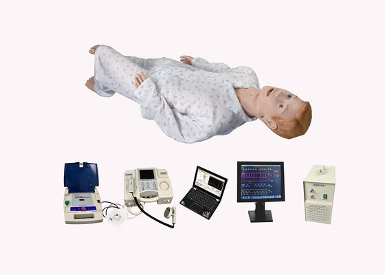 Quality First Aid Manikins & Clinical Simulation factory from China